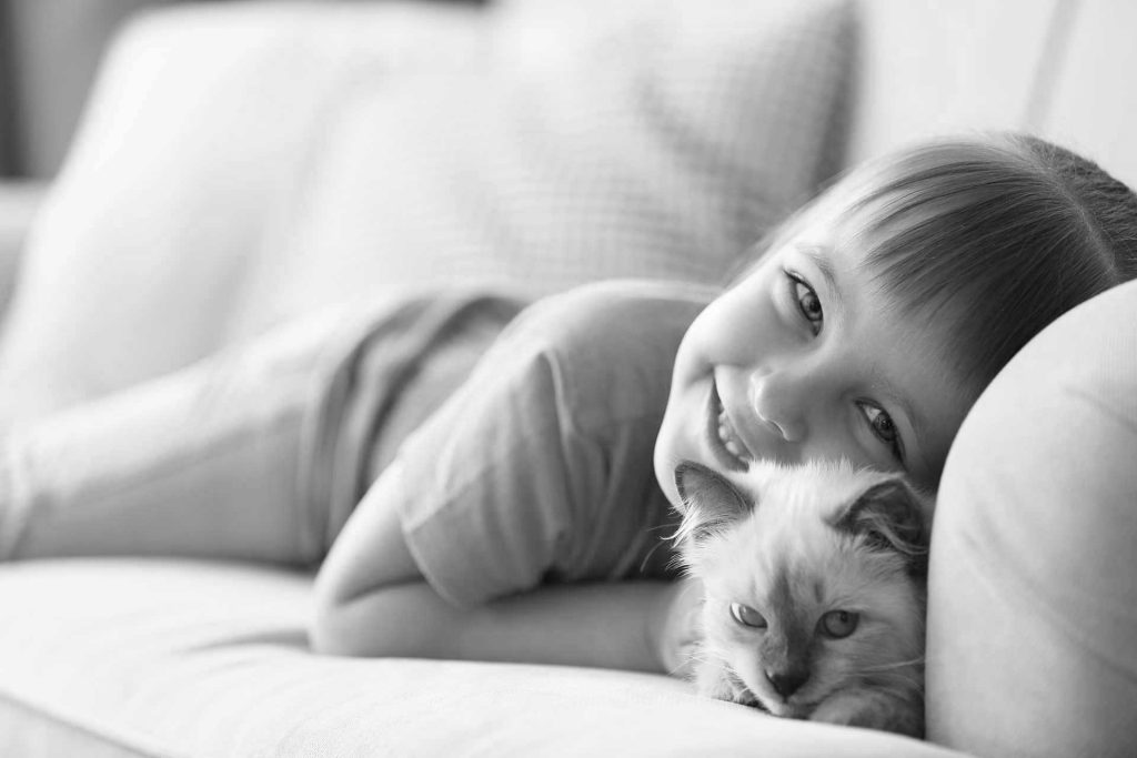 Kitten Packages Mobile Veterinarian Serving San Diego, CA | Paws 4 Shots